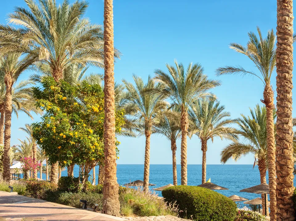 Nabq Bay Holidays 2026/2027 - Egypt | Mercury Holidays