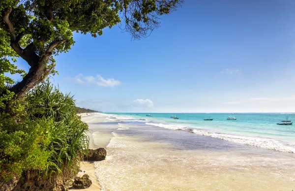 Diani Beach Holidays 2026/2027 - Kenya | Mercury Holidays