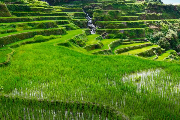 Philippines Escorted & Guided Tours 2026/2027 | Mercury Holidays